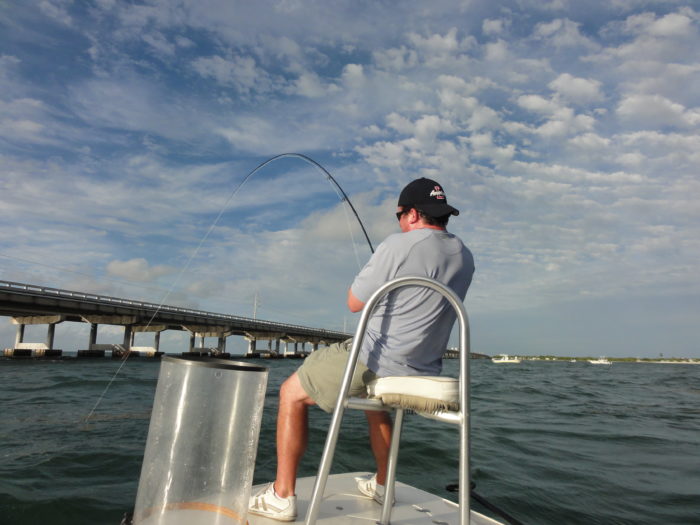 Fighting tarpon - FloridaKeysFlats.com